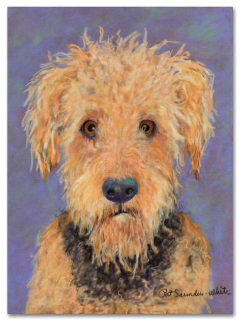 Pat Saunders-White 'Amos' Canvas Art, 18"x 24" - Contemporary - Prints ...