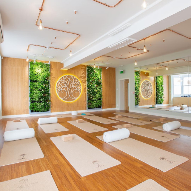 Yoga Studio Conversion - Contemporary - Kent - by Halshaw Architecture ...