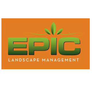 EPIC LANDSCAPE MANAGEMENT - Project Photos & Reviews - Saint Augustine ...