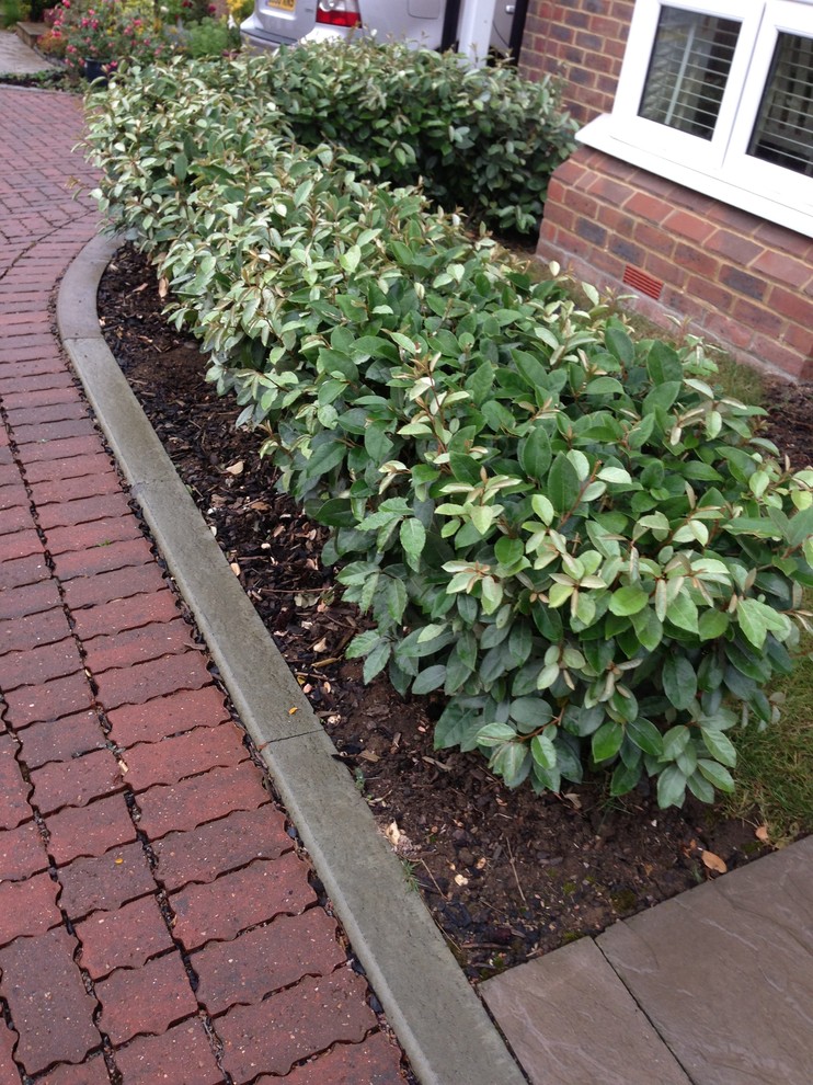 9 Low-Growing Hedges That Make Good Neighbors