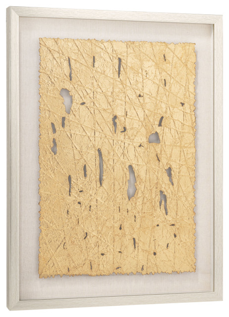 Lustrous Beauty, Modern Framed Shadow Box - Contemporary - Wall Accents ...