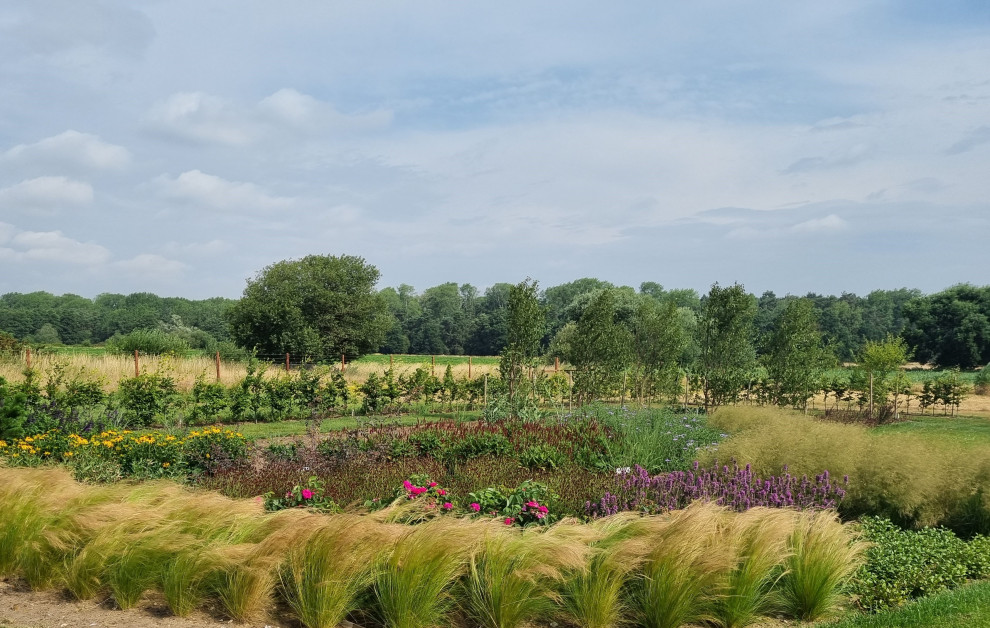Large perennial prairie style planting design - Contemporary ...