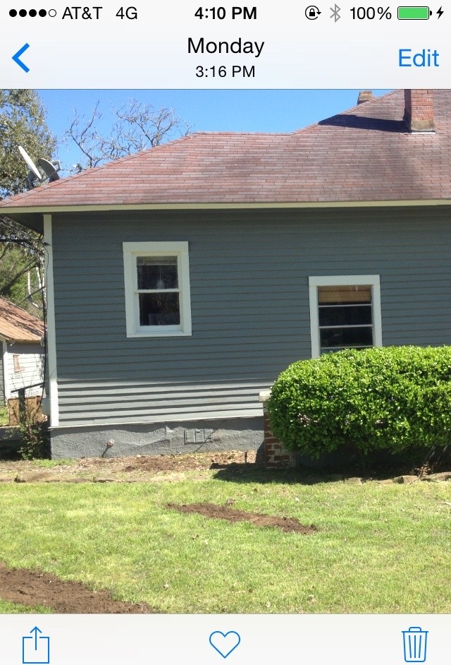 What kind of small tree or shrub for under window | Houzz Forum