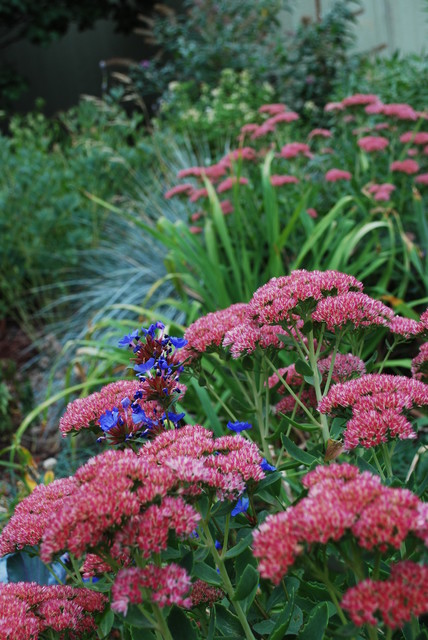Fall Is Calling: What to Do in Your October Garden