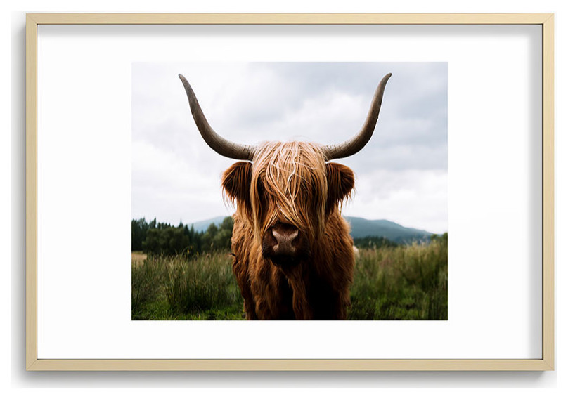 Michael Schauer Scottish Highland Cattle Recessed Framing Rectangle ...