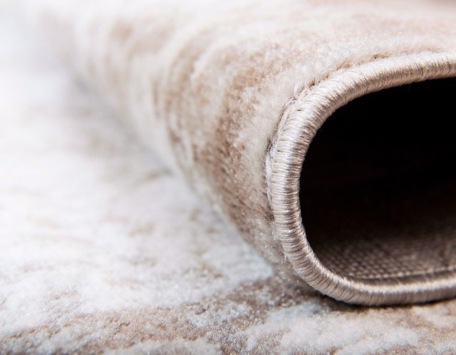 Transitional Sandrine Tan Area Rug, 4'x6' - Contemporary - Area Rugs ...