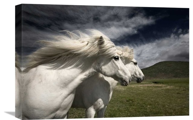 "Interplay" Stretched Canvas Giclee by Brin Ingibergsson-Bragi, 22x15 ...