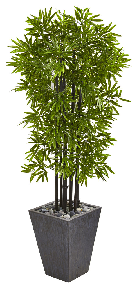 61 Bamboo Tree / Black Trunks in Slate Planter UV Resistant (Indoor ...