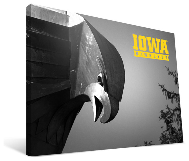 University of Iowa Hawkeyes Hawk Statue Head Canvas Print ...
