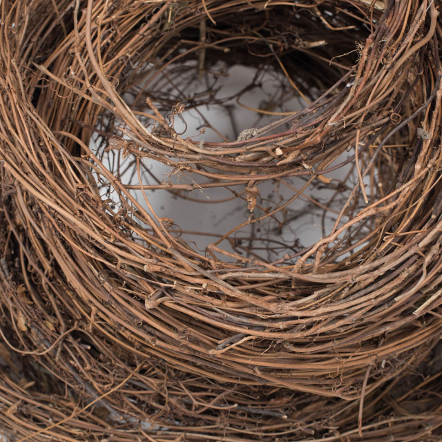 Vickerman 7' Long Grapevine Bundle, 7' - Rustic - Wreaths And Garlands ...