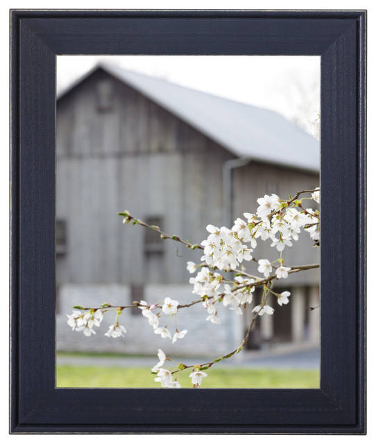 Academic Honors 1.25" Thick Wood Frame, 8"x20" - Transitional - Picture ...