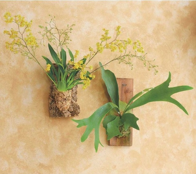 Guest Picks: 20 Uncommonly Attractive Pots and Planters