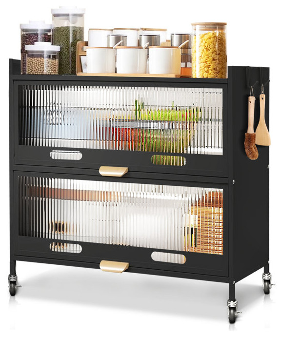 Mega Casa Steel 2-Door Accent Cabinet - Black - Transitional - Accent ...