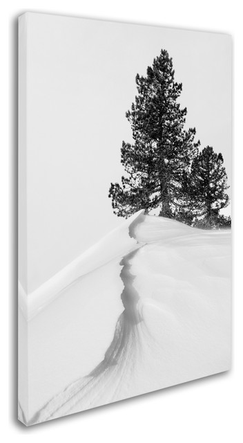 Rodrigo Nunez Buj 'About The Snow And Forms' Canvas Art, 47"x 30 ...