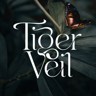 TIGER VEIL - Project Photos & Reviews - Encinitas, CA US | Houzz