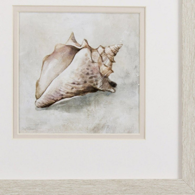 Set of Two Conch Shell Watercolor Wall Art - Beach Style - Prints And ...
