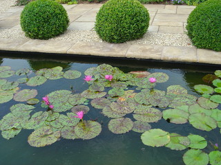 Formal Ponds - Traditional - Other - by Claudia De Yong Garden Design ...