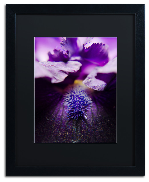 PIPA Fine Art 'Stigma of Iris' Matted Framed Art, 20x16 - Contemporary ...