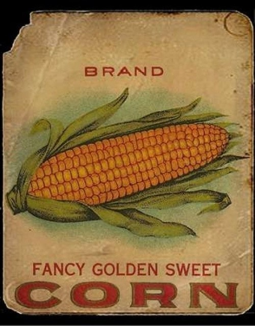 Vintage Corn Poster Print by Beth Albert - Item # VARPDXBA1191, 11 x 14 ...