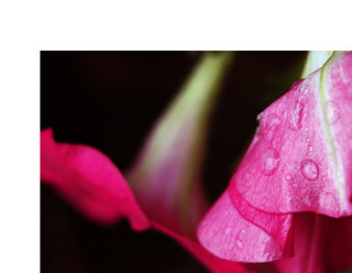 ARTISTIC EYE LANDSCAPE DESIGN - Project Photos & Reviews - Scroggins ...