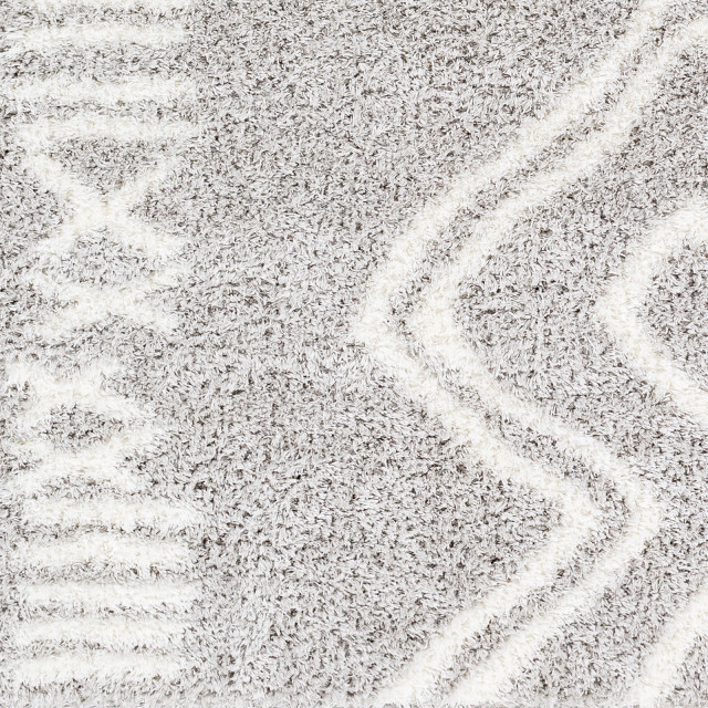 Cloudy shag CDG-2311 Machine Woven Area Rug - Scandinavian - Area Rugs ...