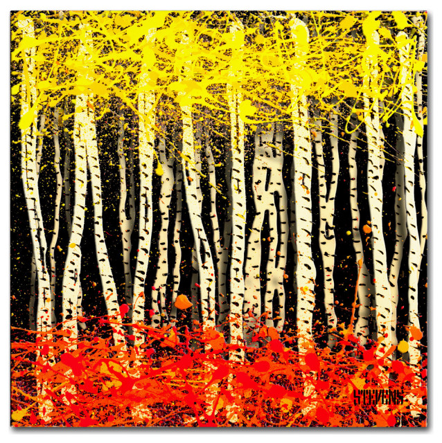 'White Aspens 2' Canvas Art by Roderick Stevens, 14" x 14 ...