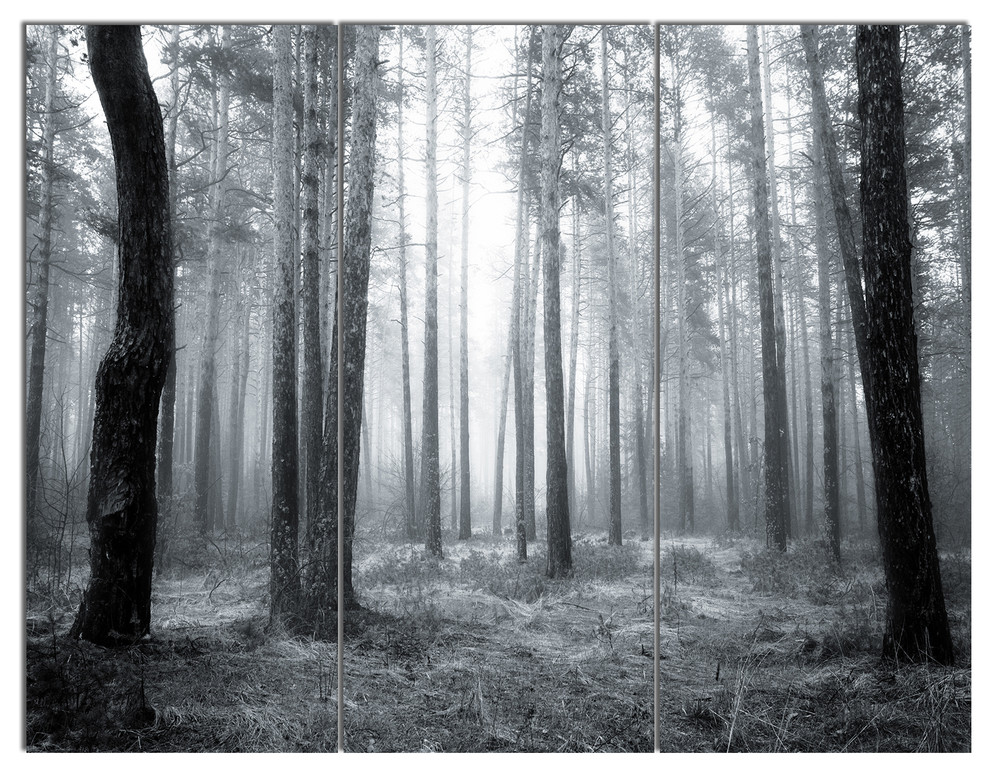 "Black and White Foggy Forest" Metal Wall Art, 36"x28" - Contemporary ...
