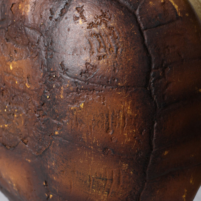 Faux Gopher Tortoise Shell on Stand - Contemporary - Decorative Objects ...