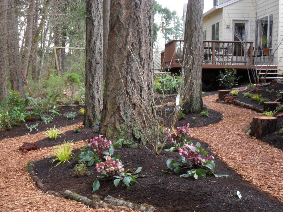 6 Flowers for Gorgeous Winter Garden Color