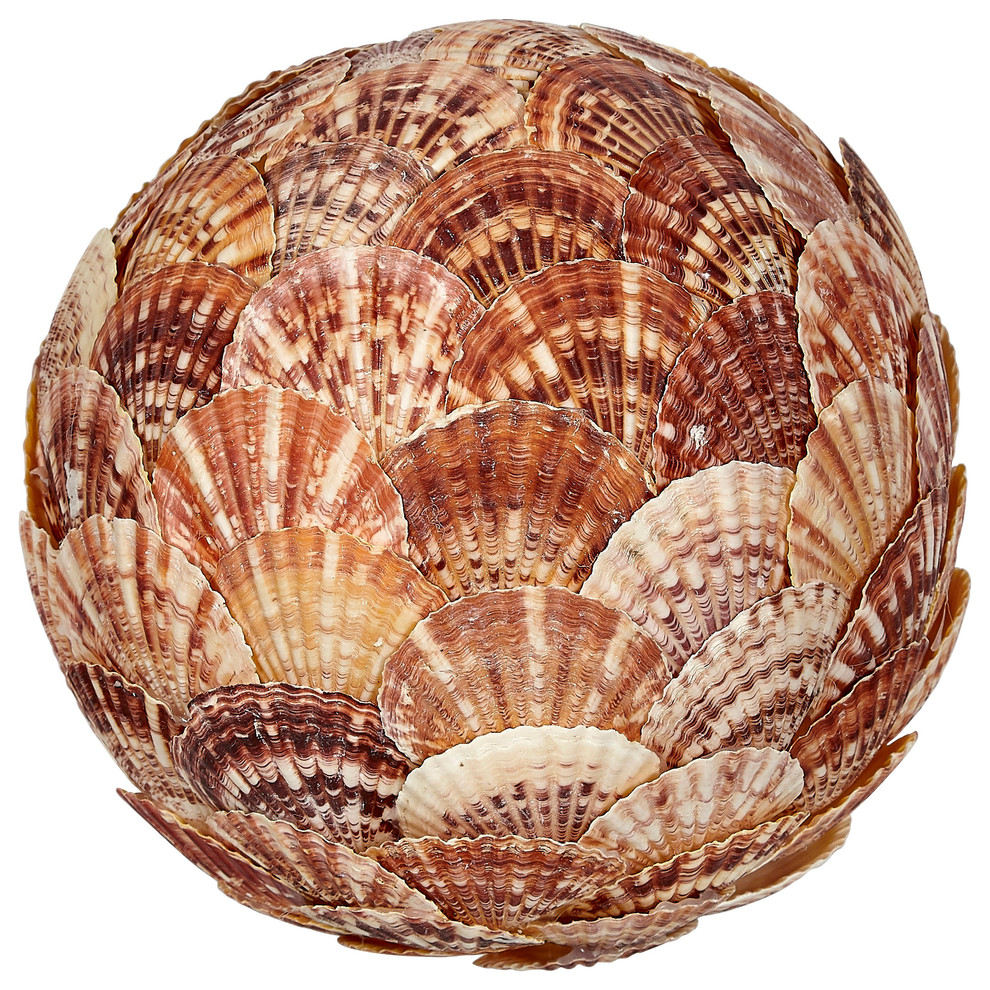 Natural Scallop Shell Orb, 8" - Beach Style - Decorative Objects And ...
