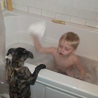 JEFF DAVIS CONSTRUCTION - Project Photos & Reviews - Talladega, AL US ...