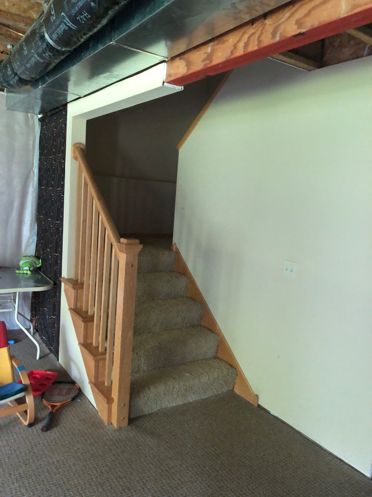 Basement Trim and Cabinet Color