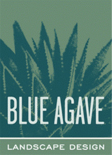 BLUE AGAVE LANDSCAPE DESIGN - Project Photos & Reviews - Tucson, AZ US ...