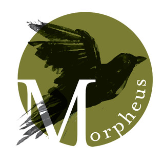 MORPHEUS STUDIO - Project Photos & Reviews - State College, PA US | Houzz