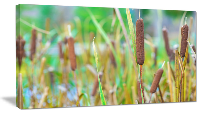 "The Reeds" Landscape Photography Canvas Art Print, 32"x16 ...