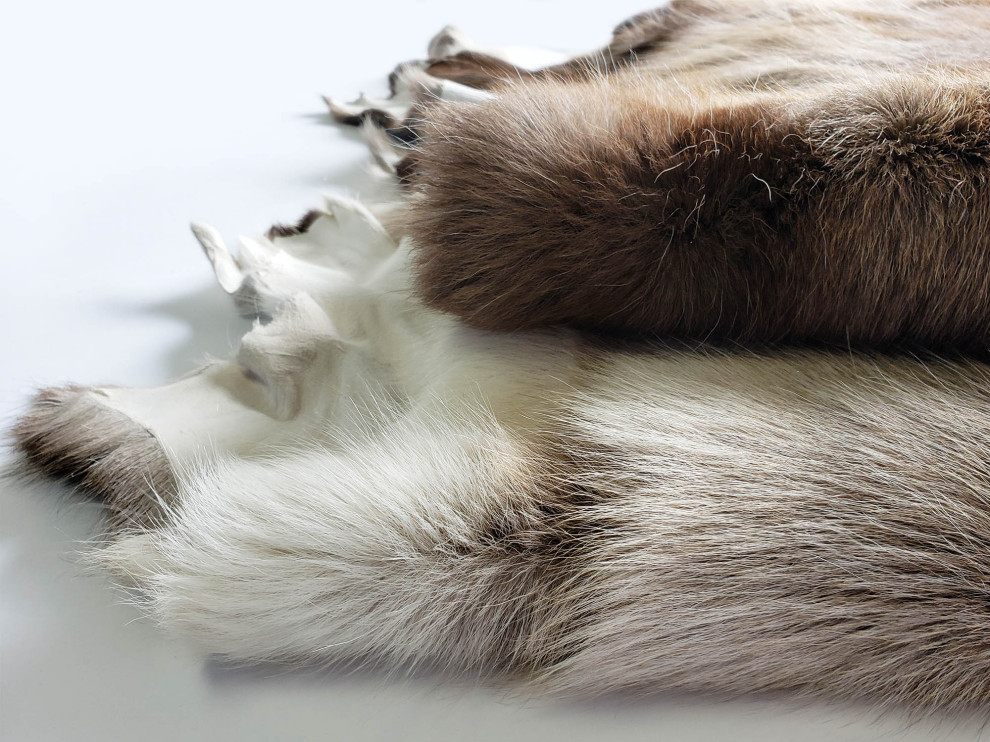 Genuine Reindeer Hide Rug - Southwestern - Novelty Rugs - by Luxury ...