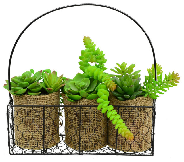 Vickerman 11" Asst Succulents in Galvanized Hanger - Contemporary ...