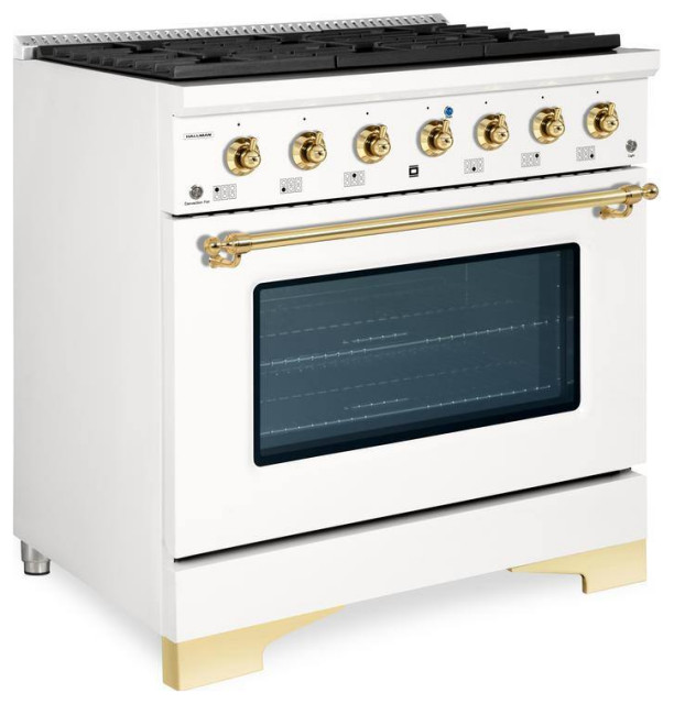 Classico Series 36" Dual Fuel Freestanding Range - Contemporary - Gas ...