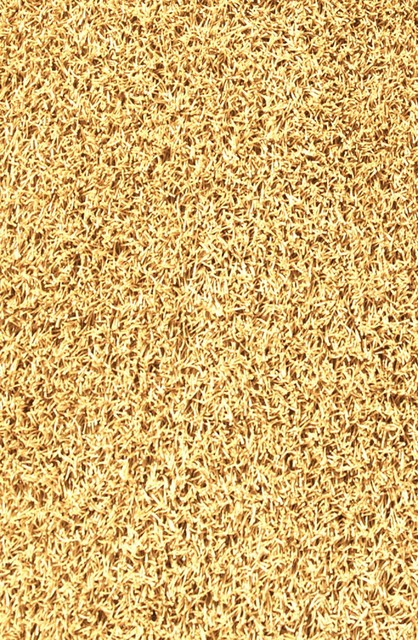 Hand Woven Gold Shag Area Rug, 5'2"x7'6" - Contemporary - Area Rugs ...