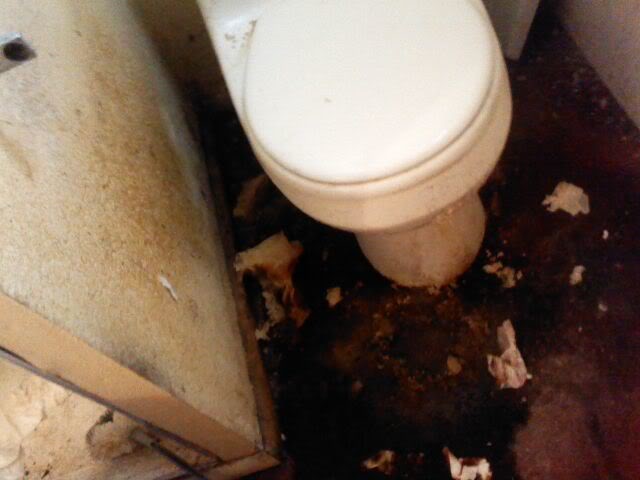 Bathroom Disaster, Please Help?