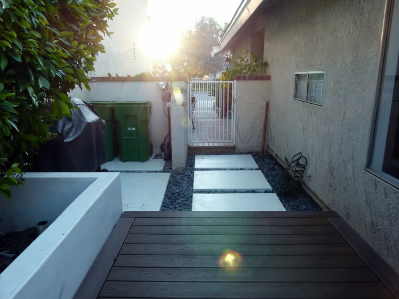 Outside window camouflage ideas needed