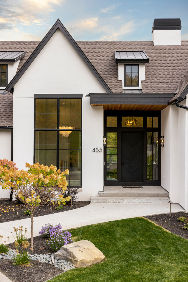 Elegantly Chic Lakeview Estate - Transitional - Exterior - Minneapolis ...