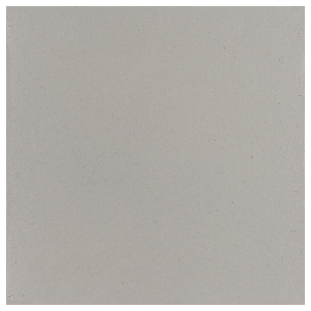 Klinker Ceramic Floor and Wall Quarry Tile Sample, Gray - Transitional ...