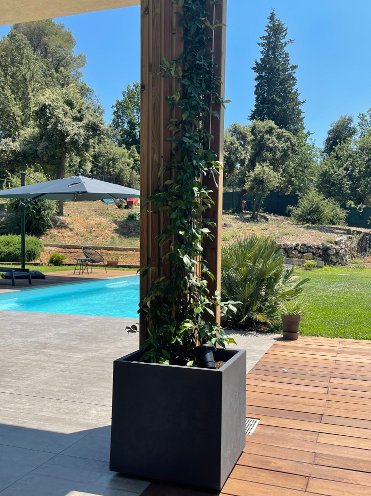 habillage poteau de bois avec jasmin grimpant - Mediterranean ...