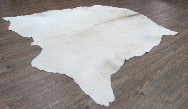Off-White 100% Premium Cowhide, Solid Color Made, Brazil, 5'x7 ...