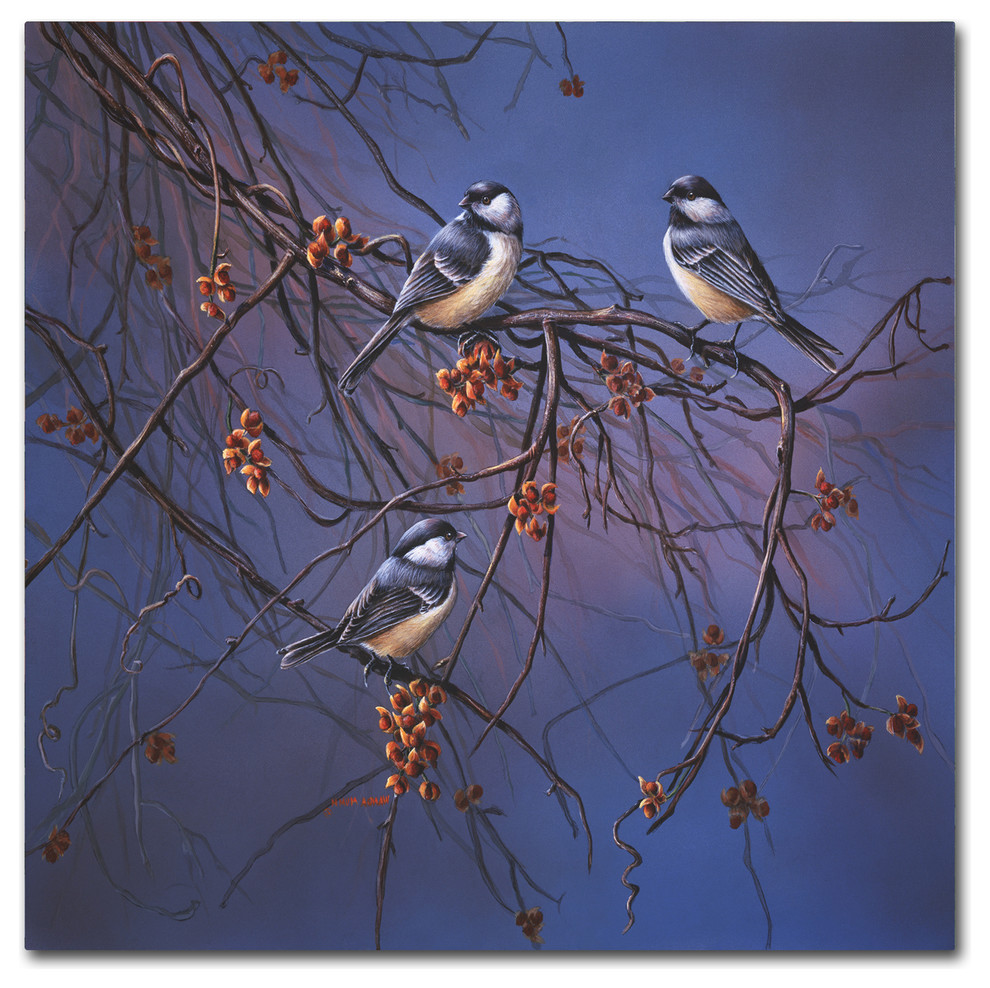 Wanda Mumm 'Bittersweet' Canvas Art - Contemporary - Prints And Posters ...