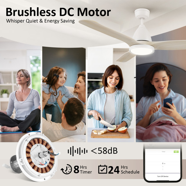 CARRO 52" DC Smart LED Ceiling Fan With Lights Dim and Remote for Home ...