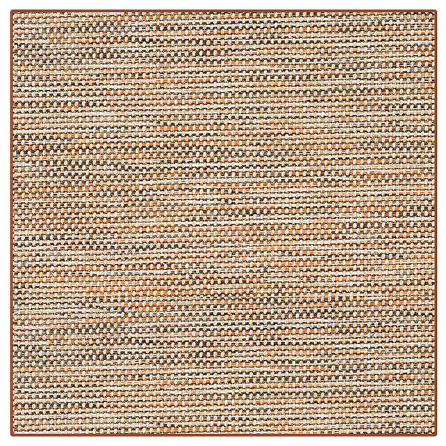 Couristan Cooper Island Indoor/Outdoor Area Rug – Stylish and Durable ...