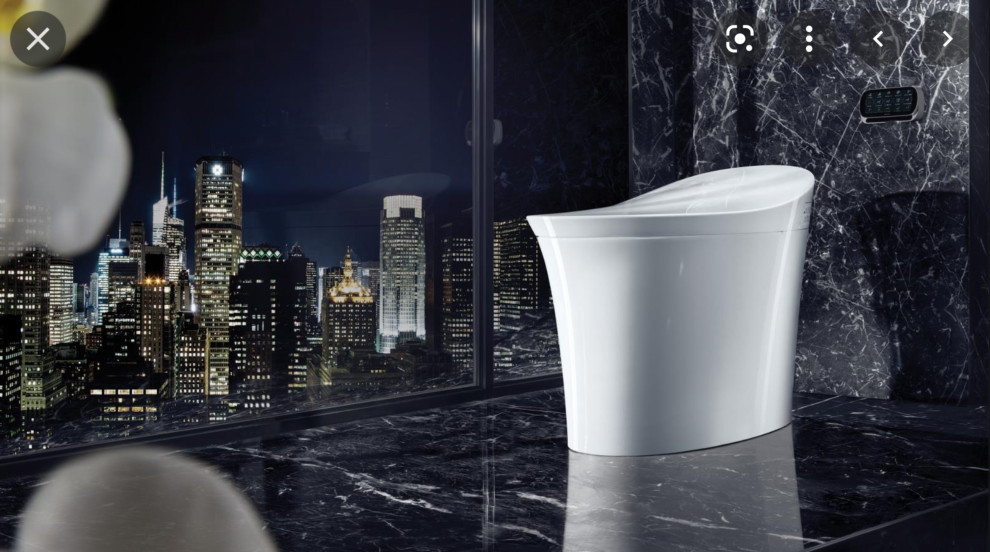 What are the BEST luxury toilets on the Market?