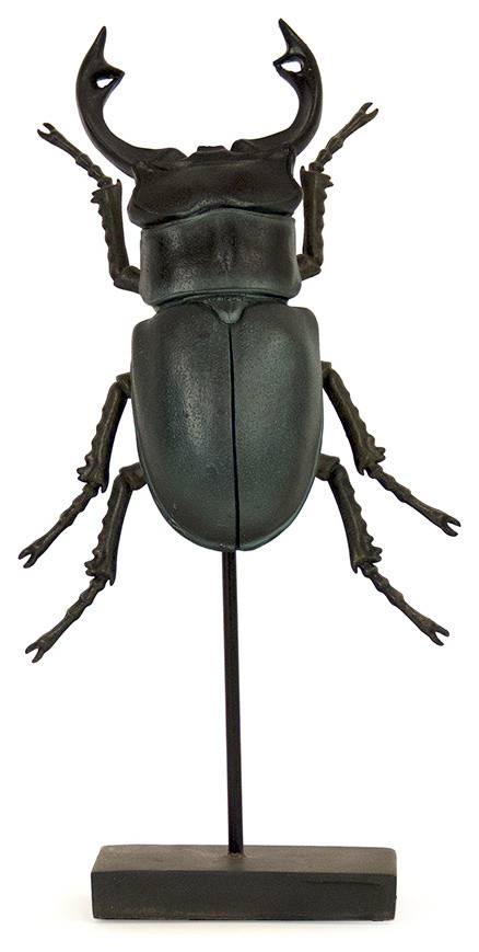 Stag Beetle On Stand, Large - Contemporary - Decorative Objects And ...